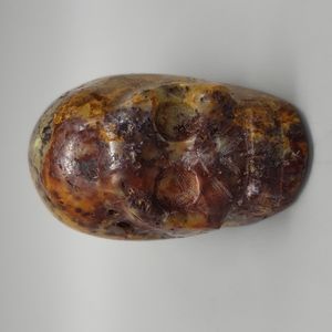 Holiday | Creepy Ocean Jasper Skull | Poshmark